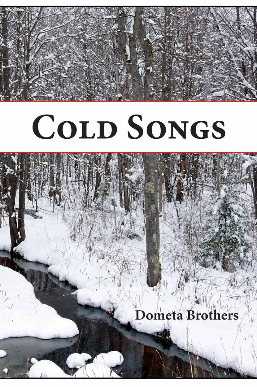 Cold Songs - Ice Cube Press